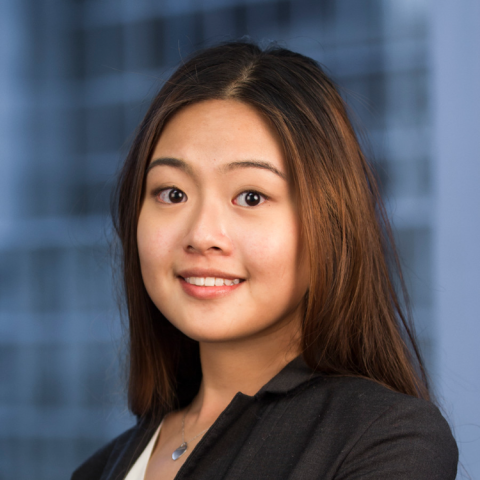 Team - Staff and Volunteers