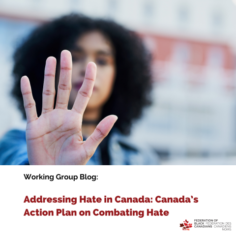Addressing Hate in Canada: Canada’s Action Plan on Combating Hate ...